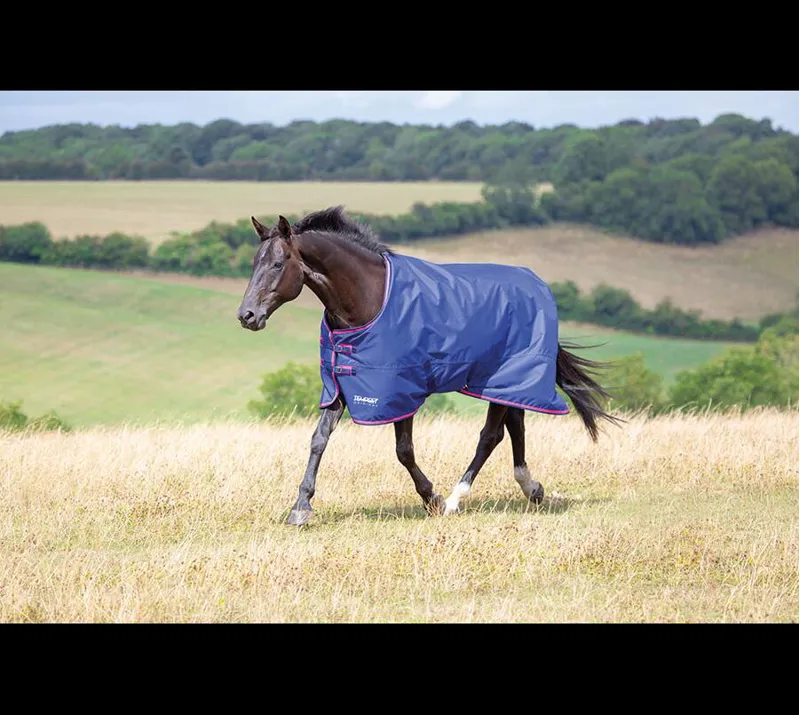Tempest Original 100 Turnout Rug in Blue